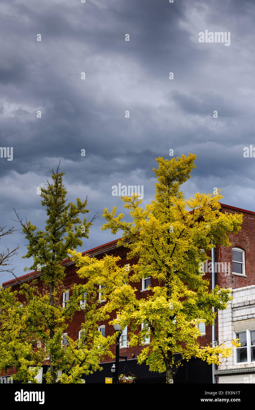Storm clouds forming over downtown Springfield, Missouri Stock Photo ...