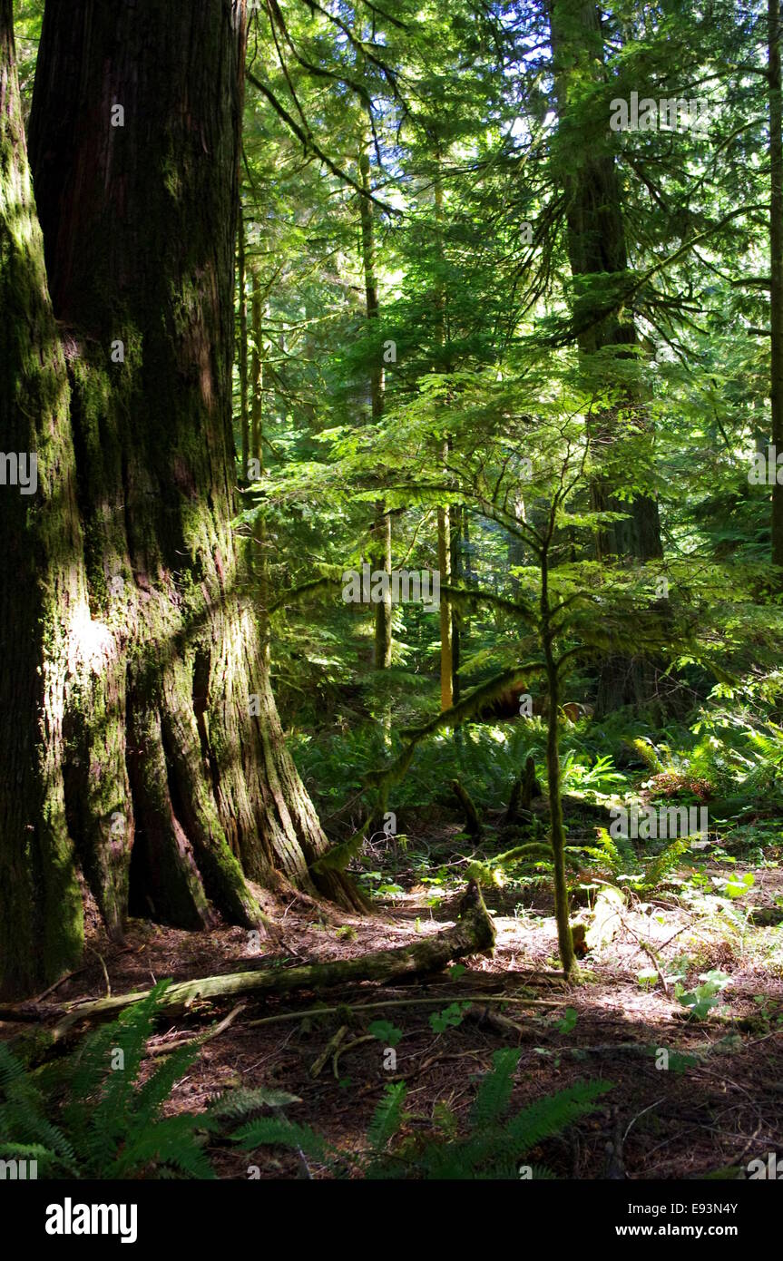 Next generation growth hi-res stock photography and images - Alamy