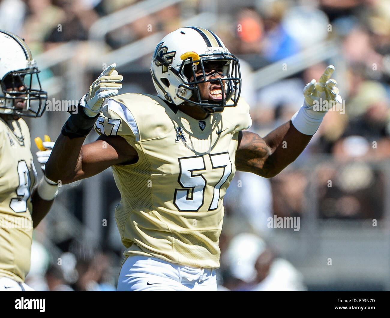 Troy gray hi-res stock photography and images - Alamy