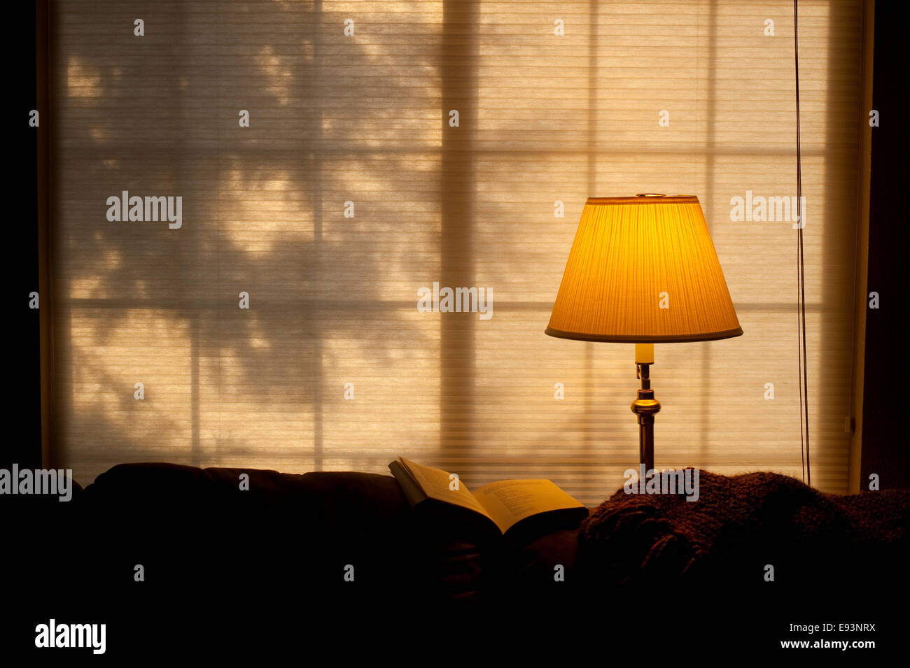 Livingroom with book on back of couch with lamp and window light and ...