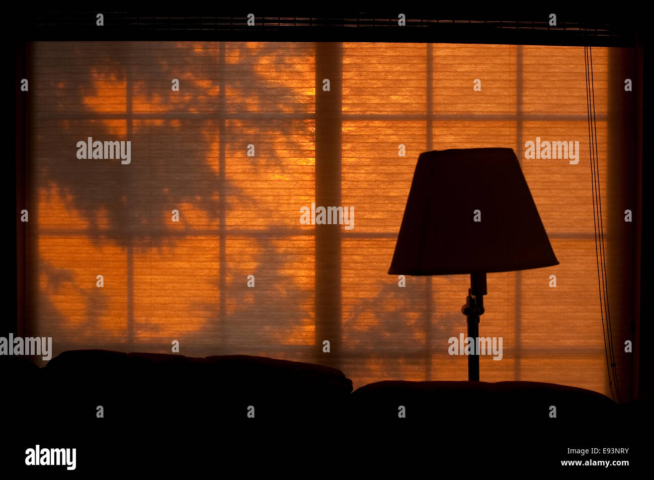 Silhouetted lamp with sunset light on shade Stock Photo - Alamy