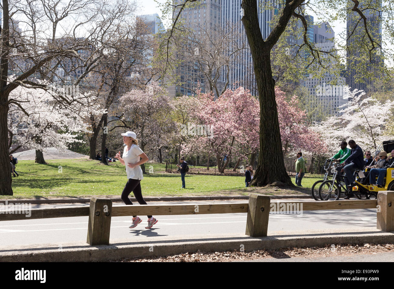 Springtime Activity, Central Park, NYC, USA Stock Photo - Alamy