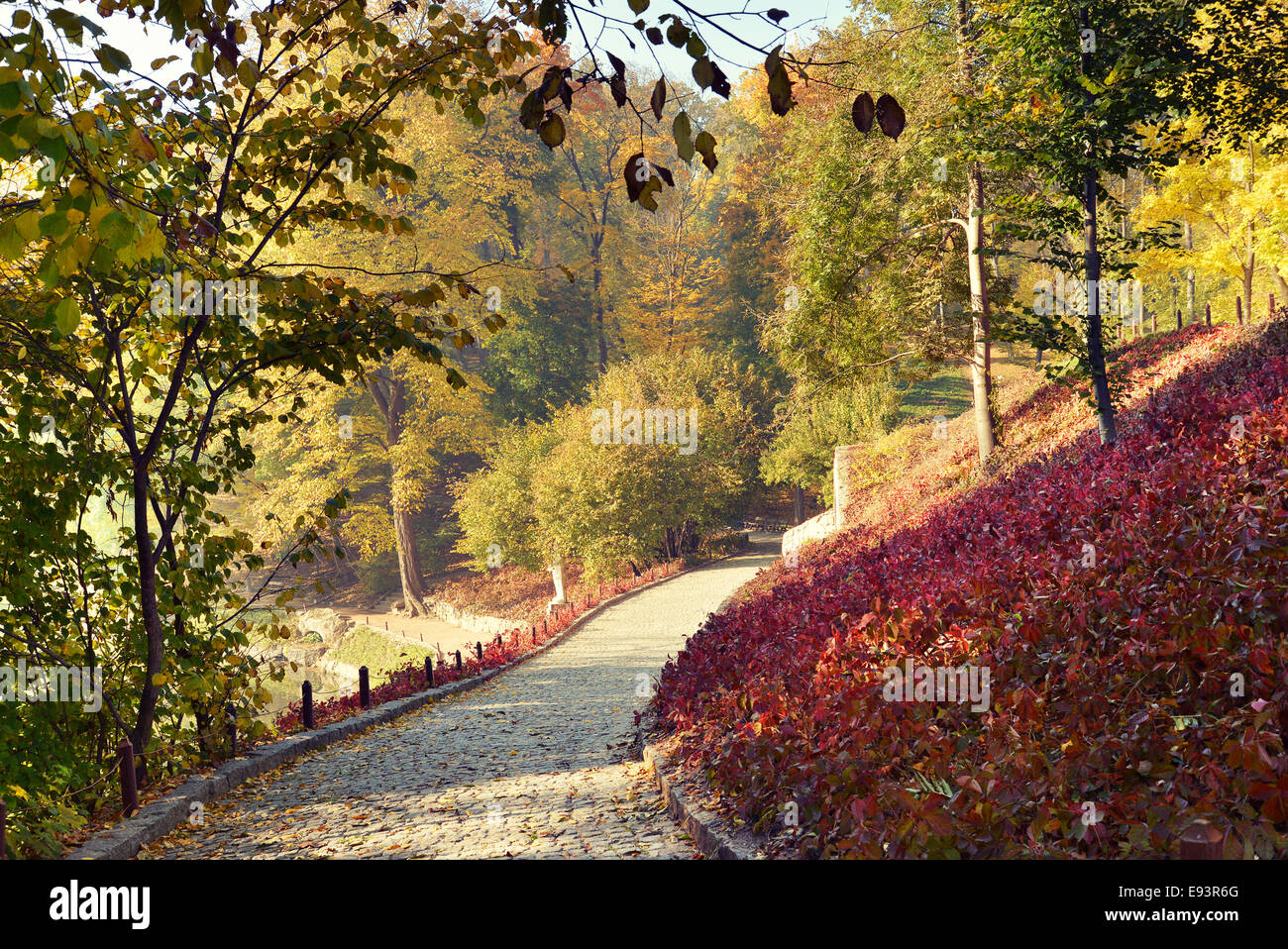 Beautiful sunny autumn hi-res stock photography and images - Alamy