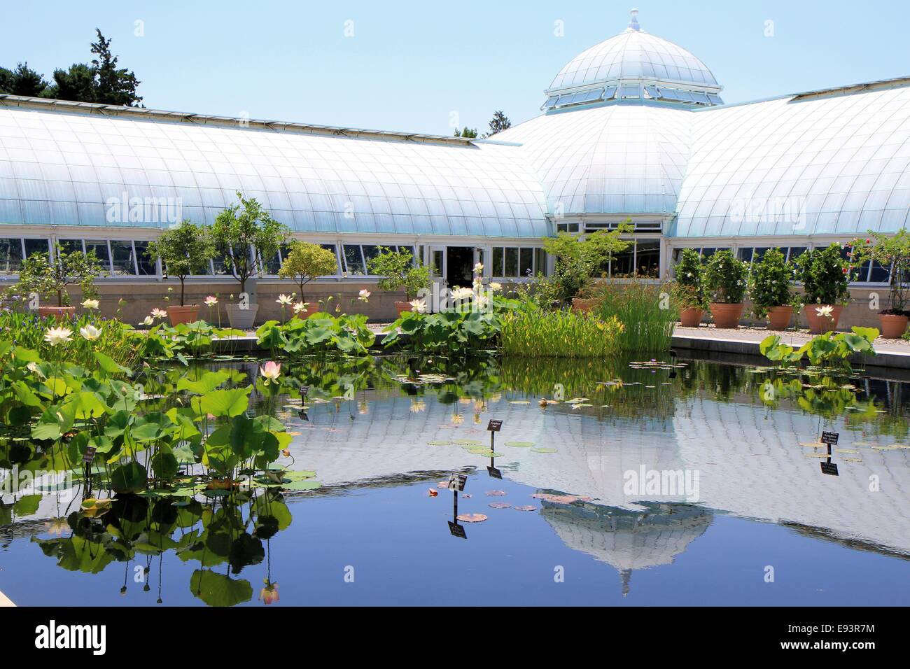 New York Botanical Garden greenhouse, Bronx, USA Stock Photo - Alamy