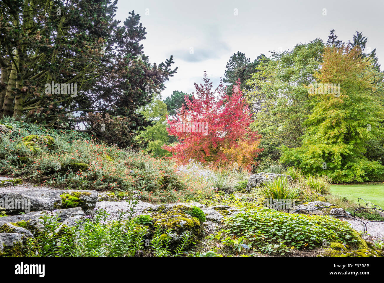 Cambridge botanical gardens hi-res stock photography and images - Alamy