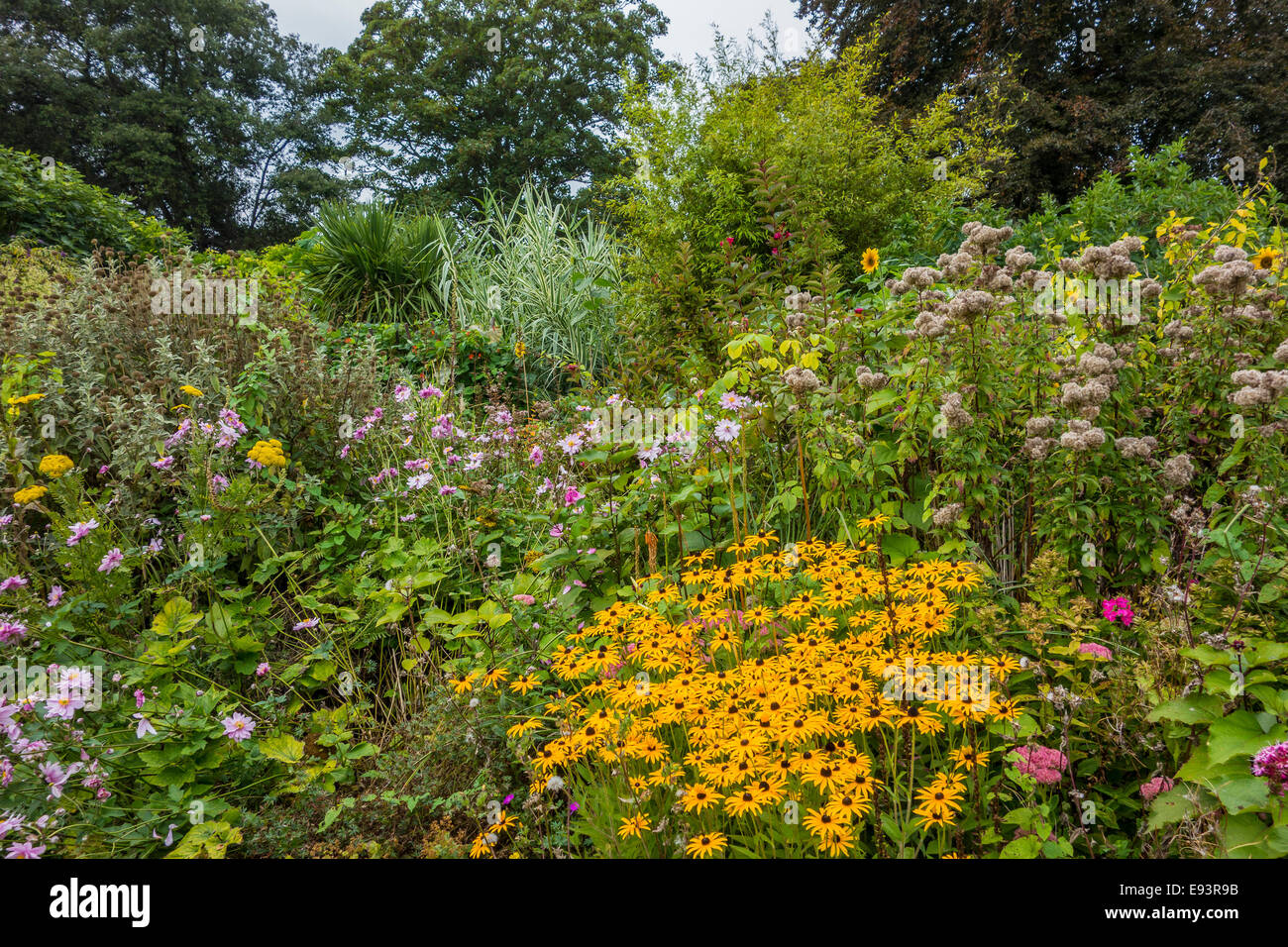 Cambridge Botanical Gardens in the Autumn Stock Photo - Alamy