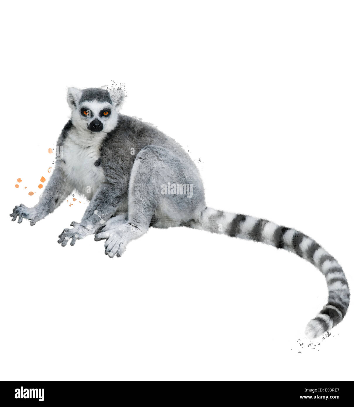 Lemur painting Cut Out Stock Images & Pictures - Alamy