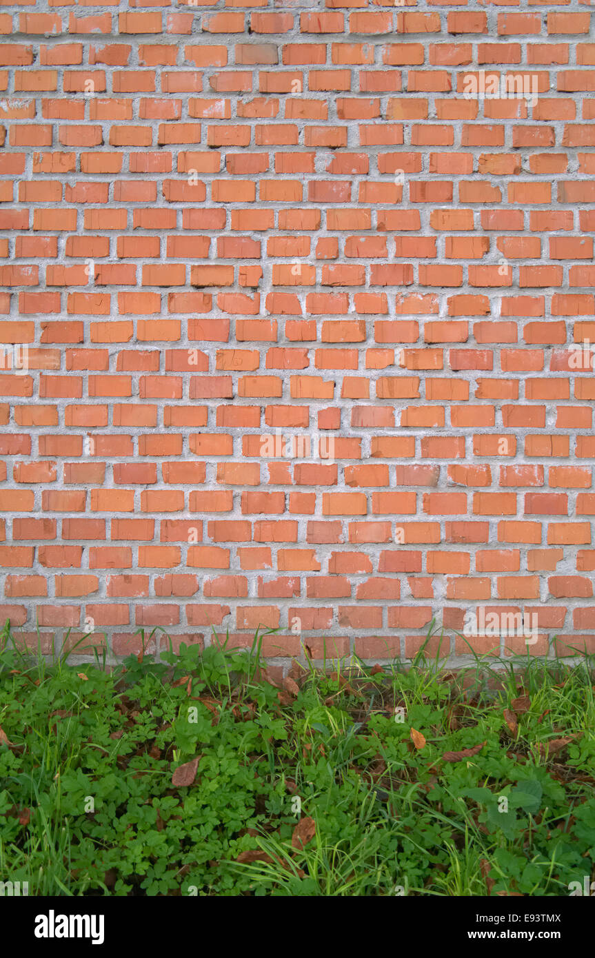 bricks and grass texture Stock Photo - Alamy