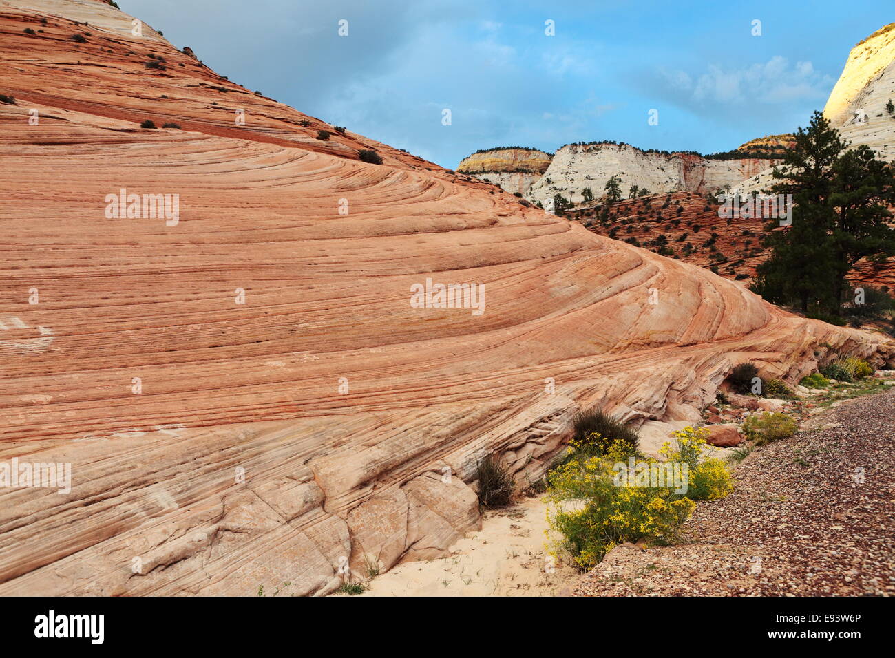 Rock formations in Zion National Park Stock Photo - Alamy
