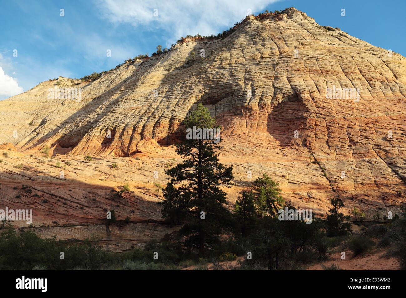 Rock formations in Zion National Park Stock Photo - Alamy