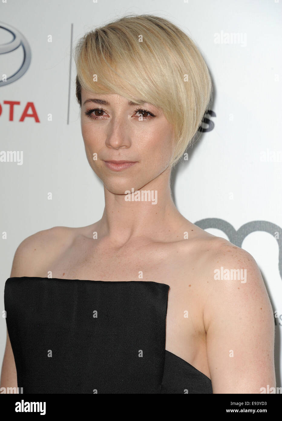 Los Angeles, California, USA. 18th Oct, 2014. Karine Vanasse attending ...