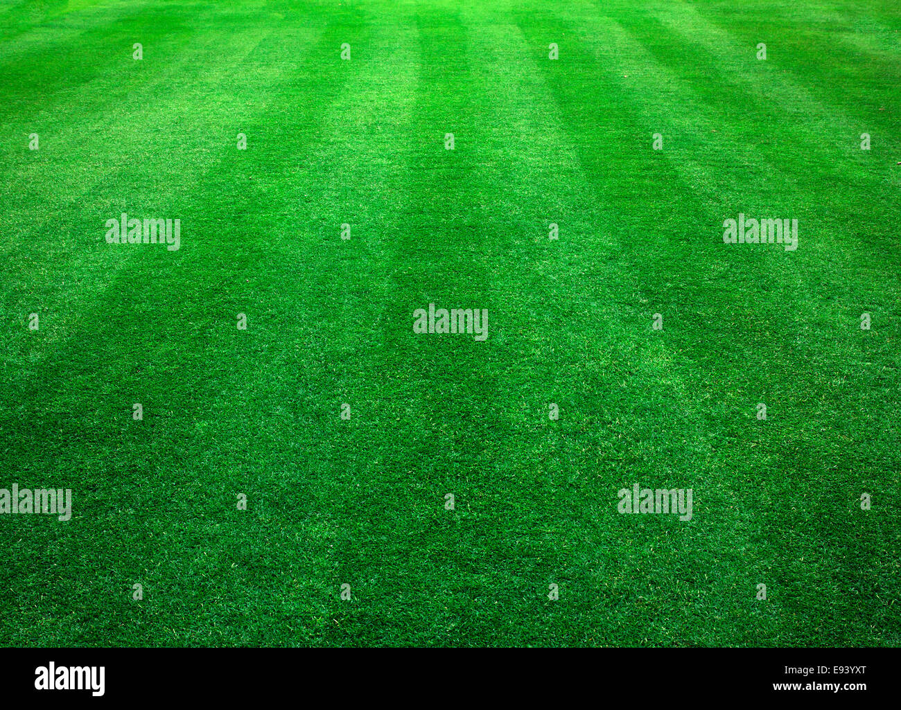 Green Grass Lawn natural patterns background texture Stock Photo - Alamy