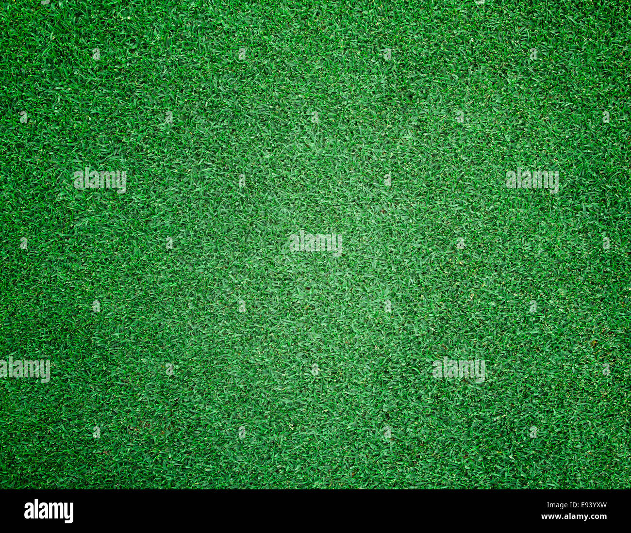 Green Grass Lawn natural patterns background texture Stock Photo - Alamy