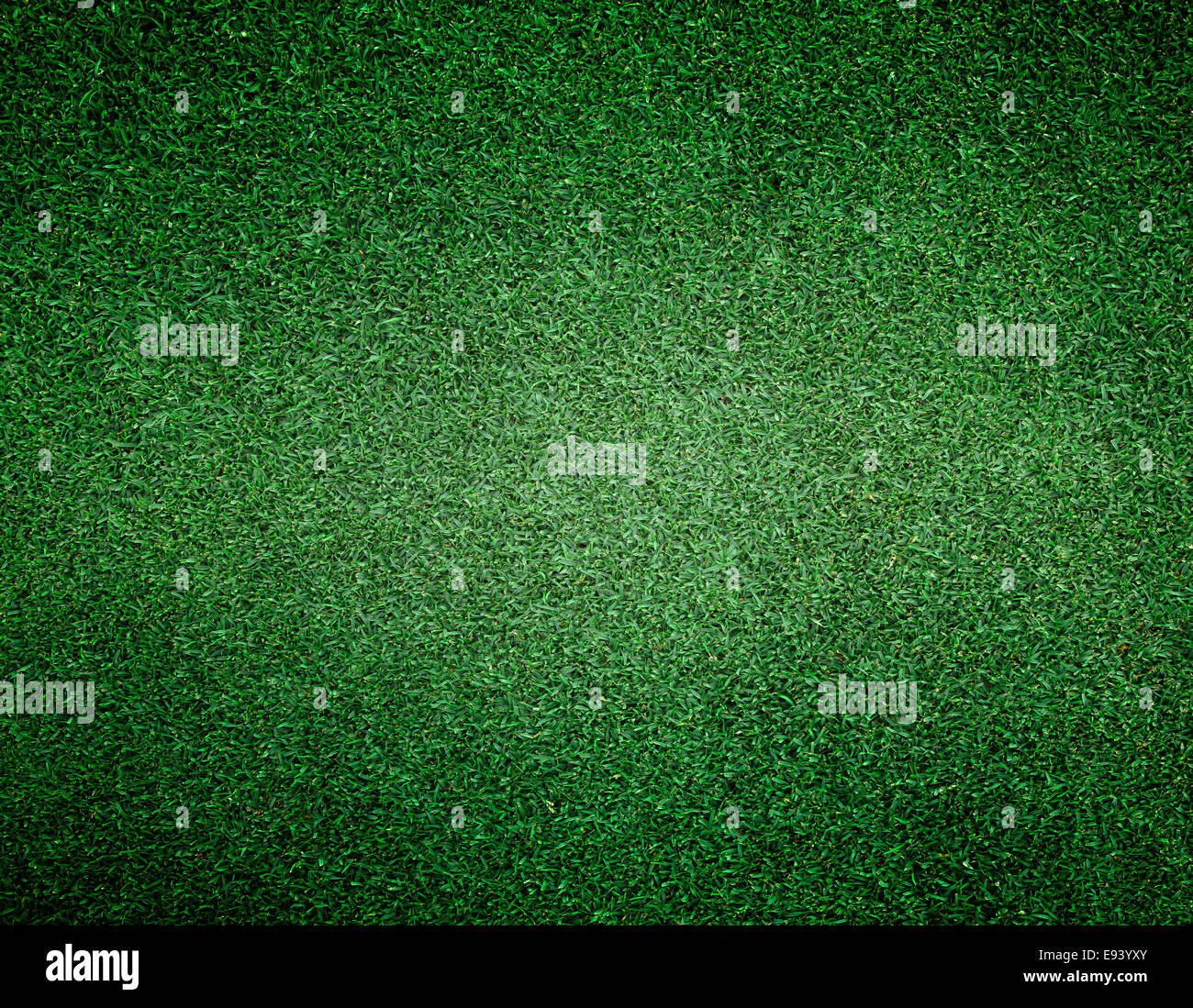 Lawn patterns hi-res stock photography and images - Alamy