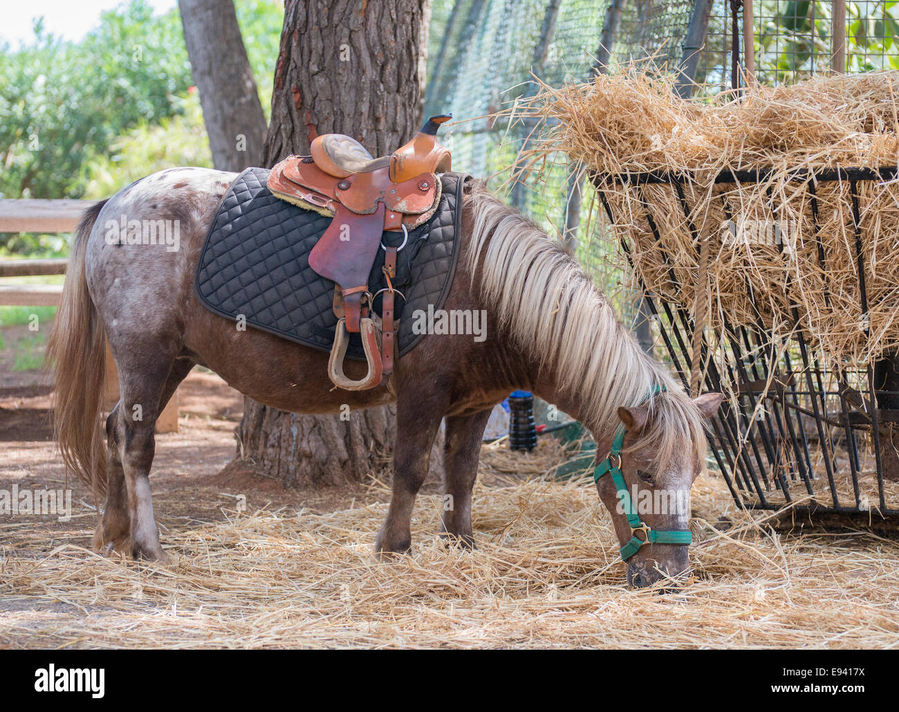 Eats park hi-res stock photography and images - Alamy