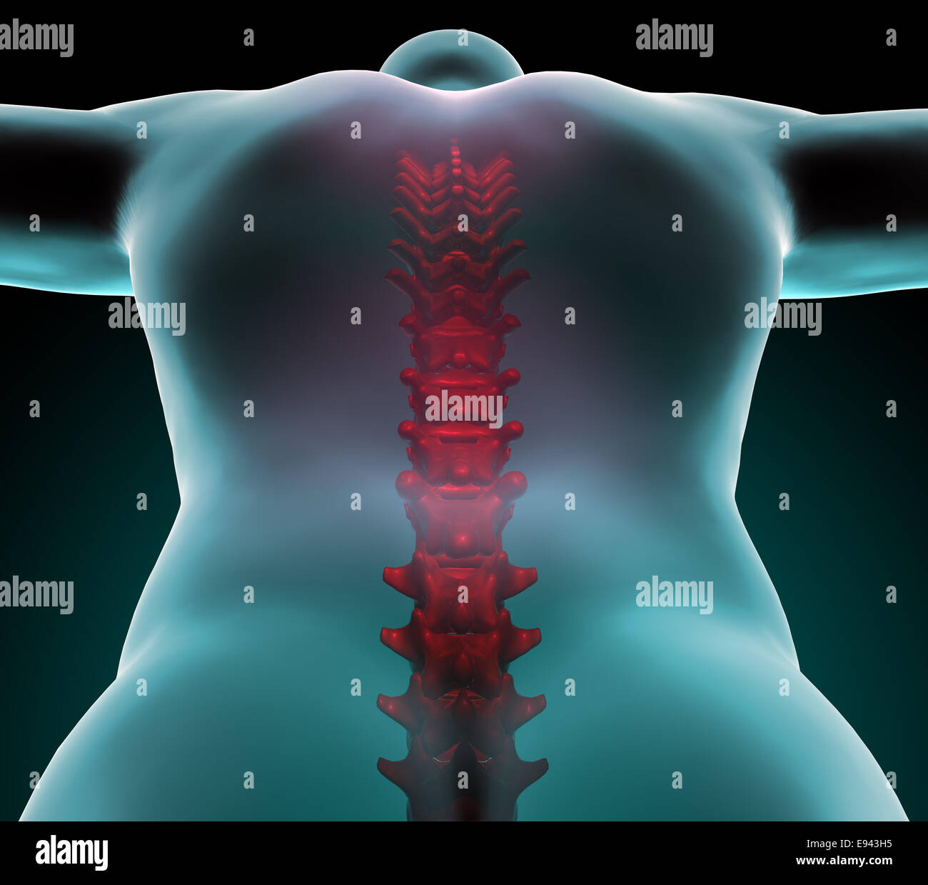 Shoulder muscles anatomy behind hi-res stock photography and images - Alamy