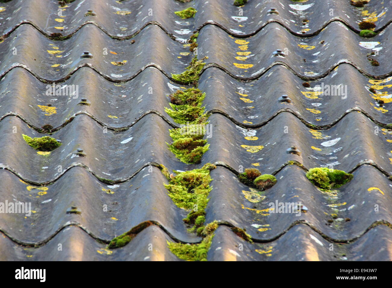 Fiber Roof High Resolution Stock Photography and Images - Alamy