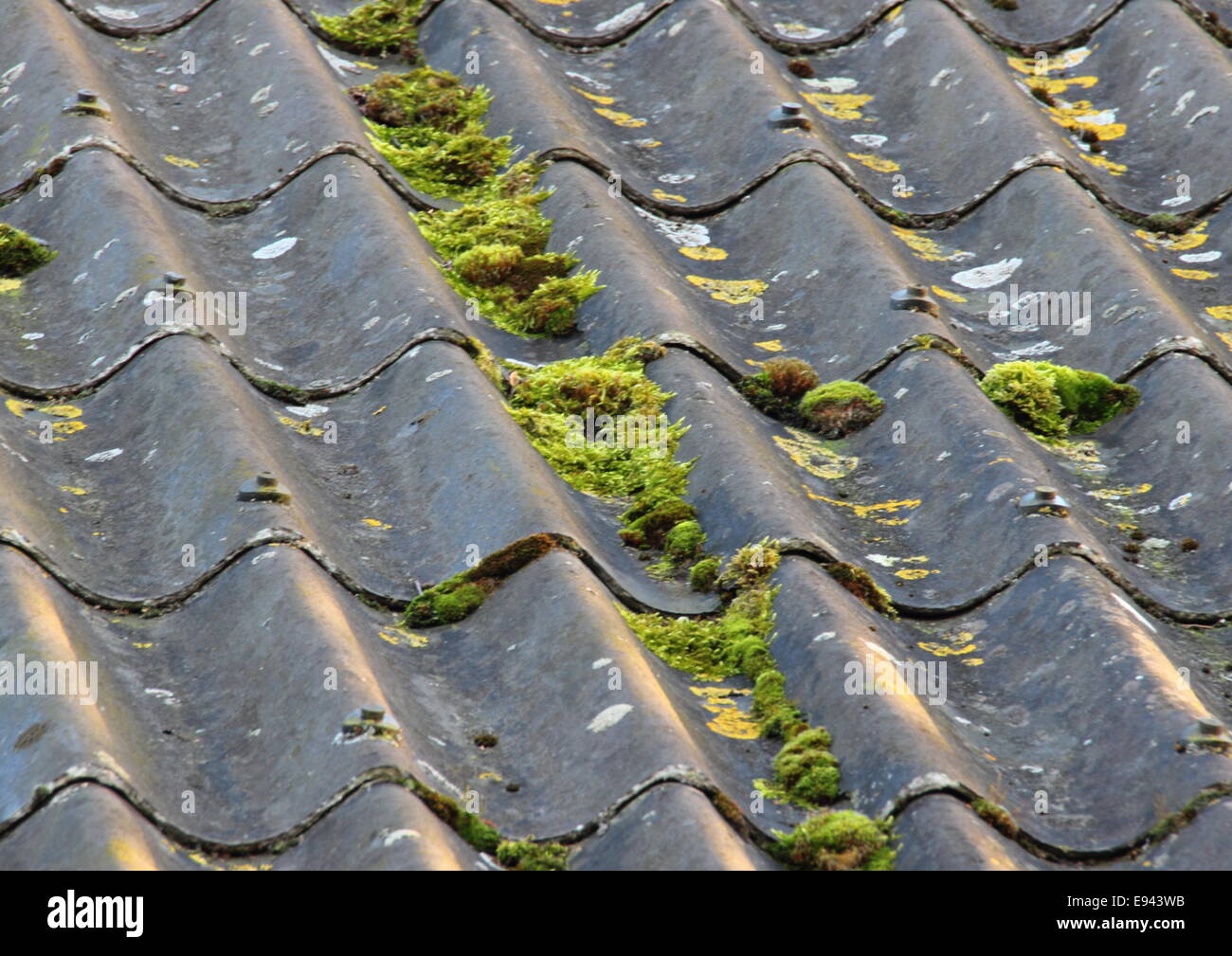 Cement gray old roof hi-res stock photography and images - Alamy