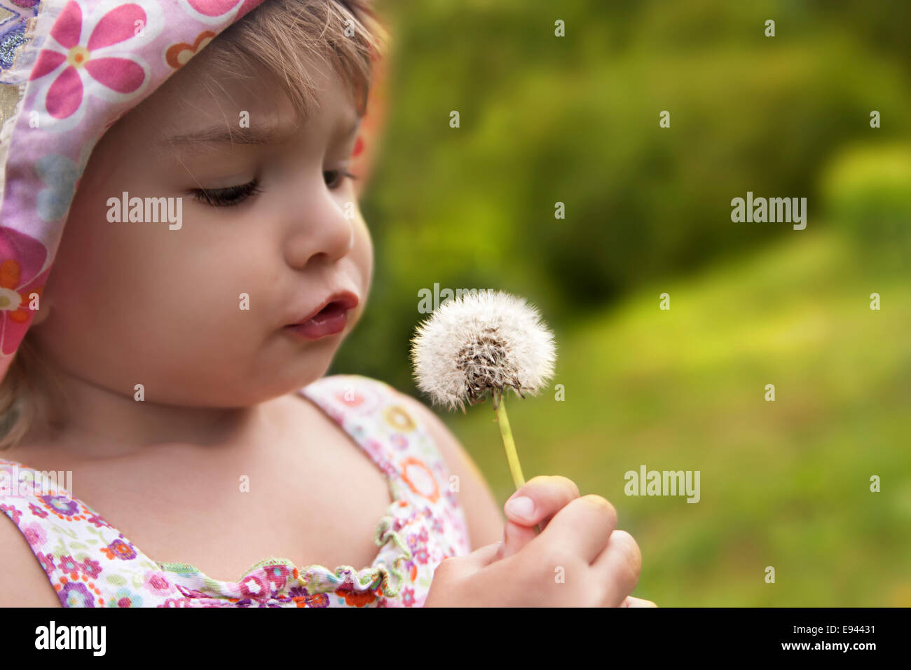 Child Blowing Dandelion
