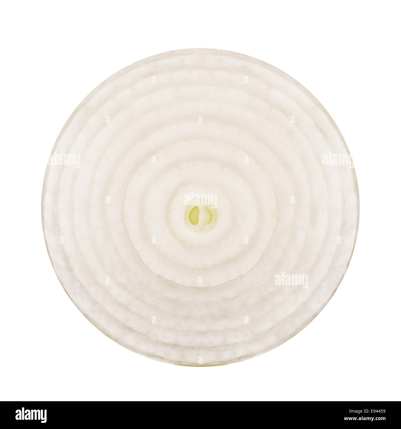 Ripe onion cut in half. Isolated on white background. Clipping Path ...