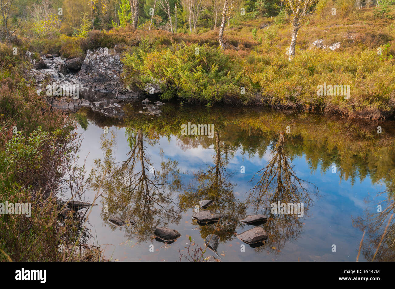 Cannich Scotland High Resolution Stock Photography and Images - Alamy