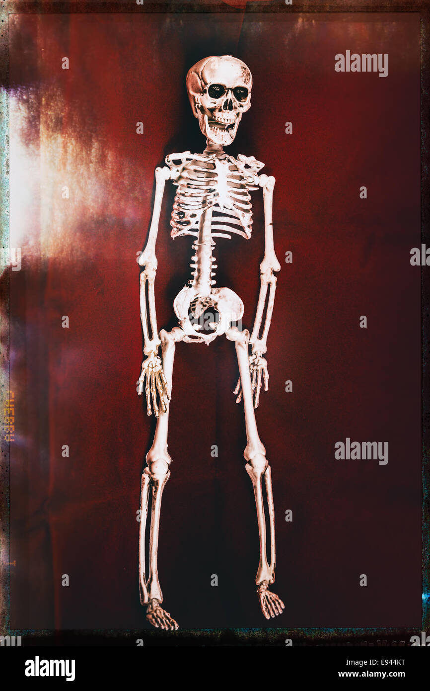 Vintage skeleton hi-res stock photography and images - Alamy