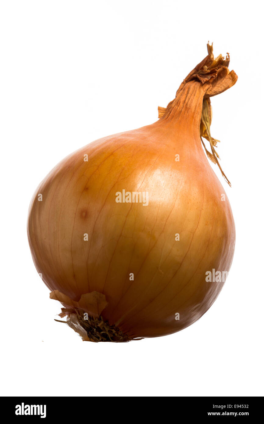 cutout of onion Stock Photo - Alamy
