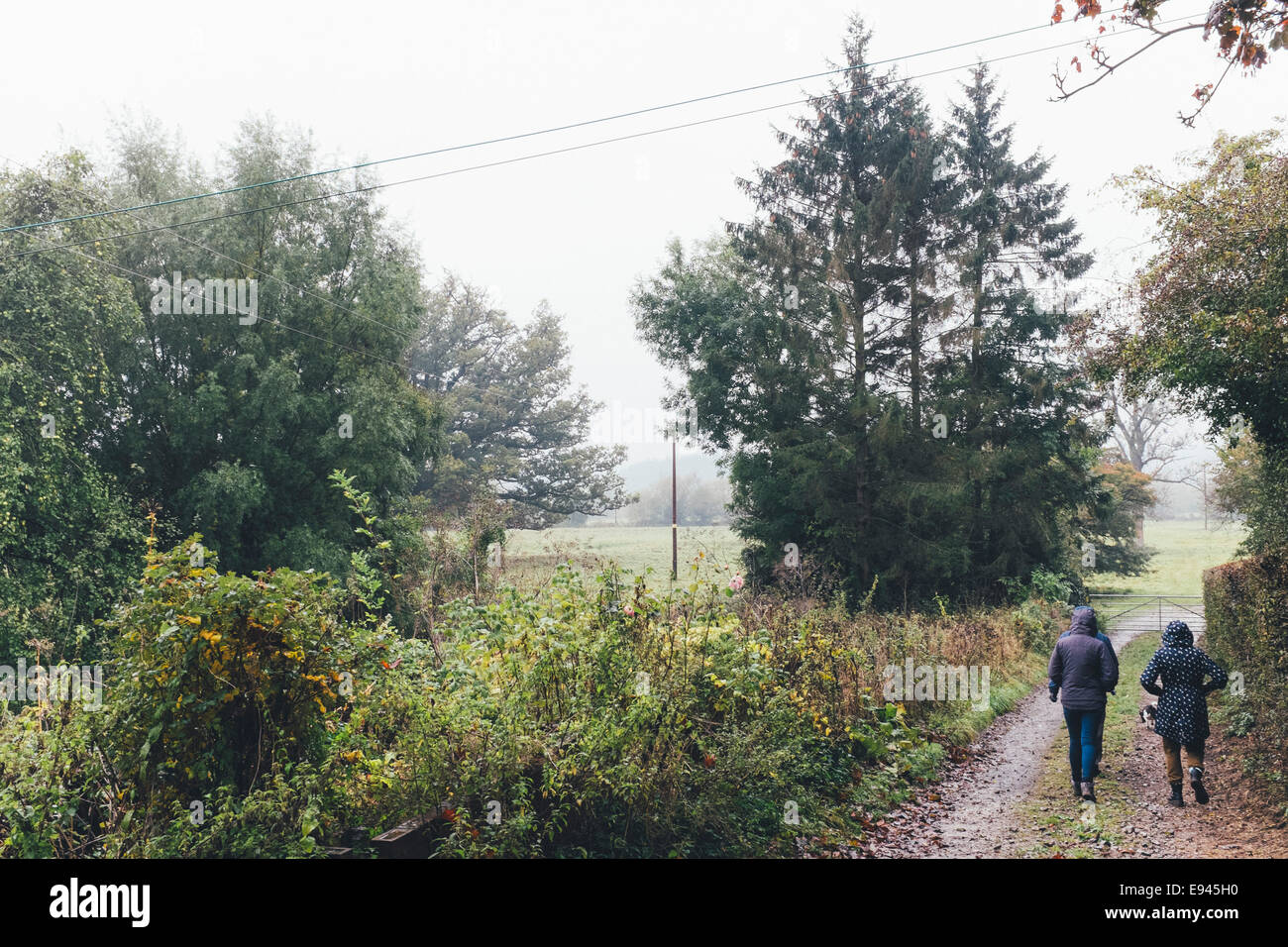Out for a walk in the countryside Stock Photo - Alamy