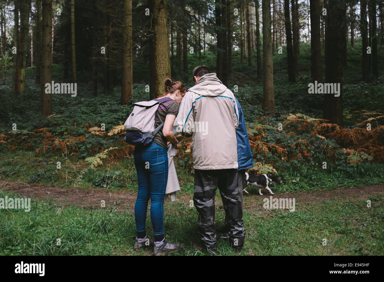 People looking at a map for directions in the woods Stock Photo - Alamy