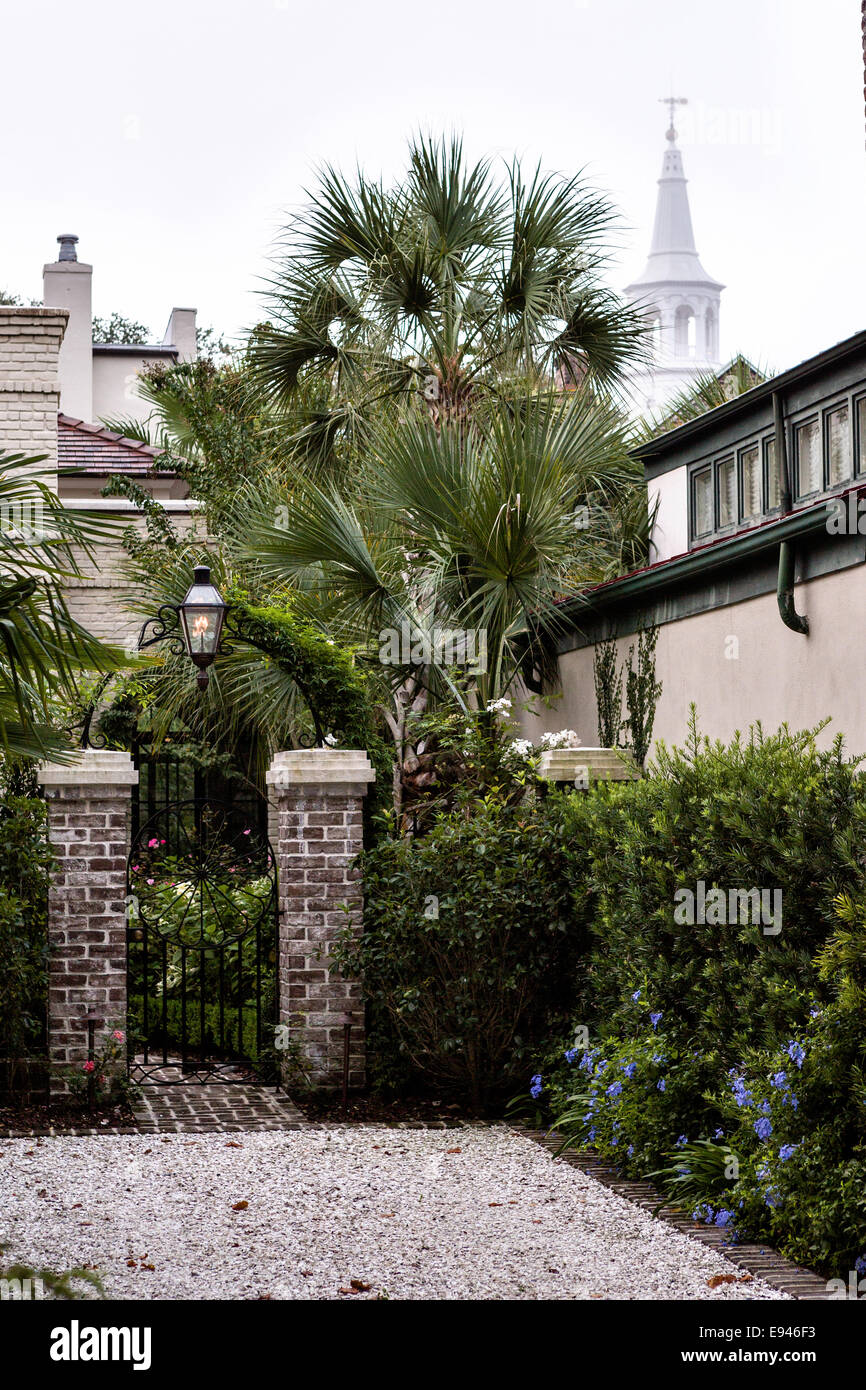 A private garden gate and old wall with palm trees in the French ...