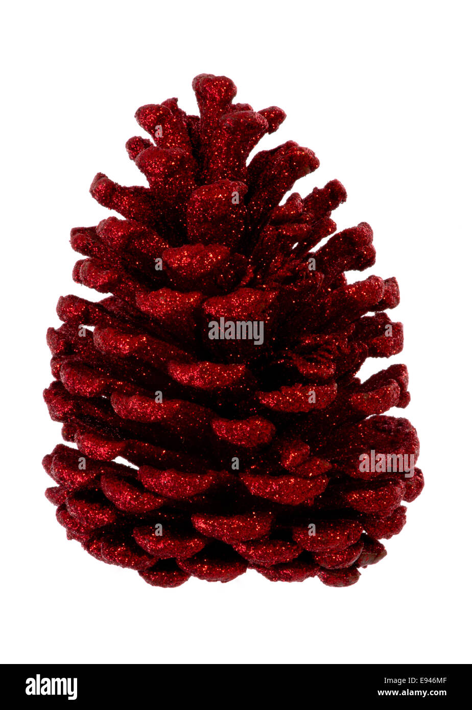 Red fir cone Stock Photo - Alamy