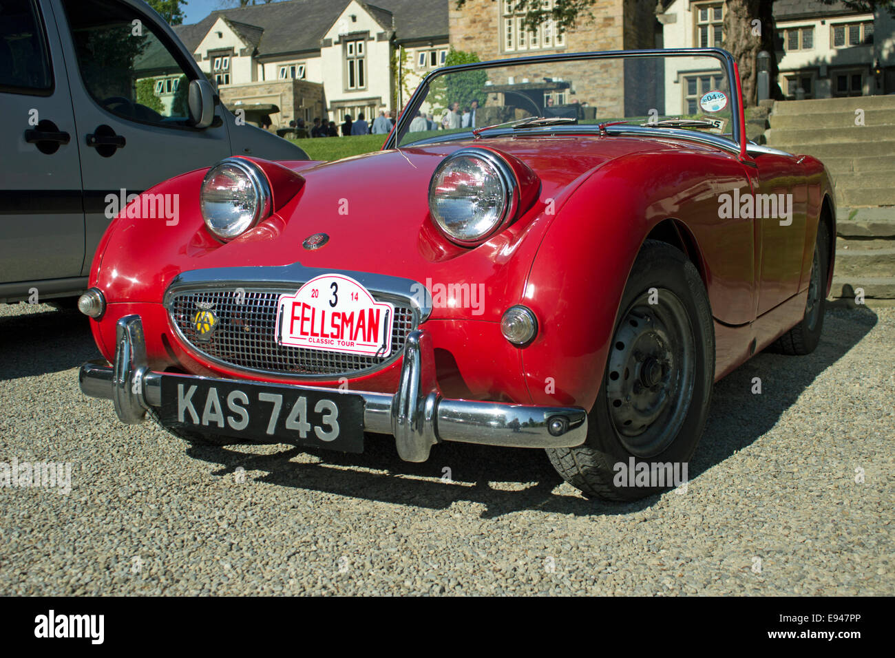 Frog eyed sprite hi-res stock photography and images - Alamy