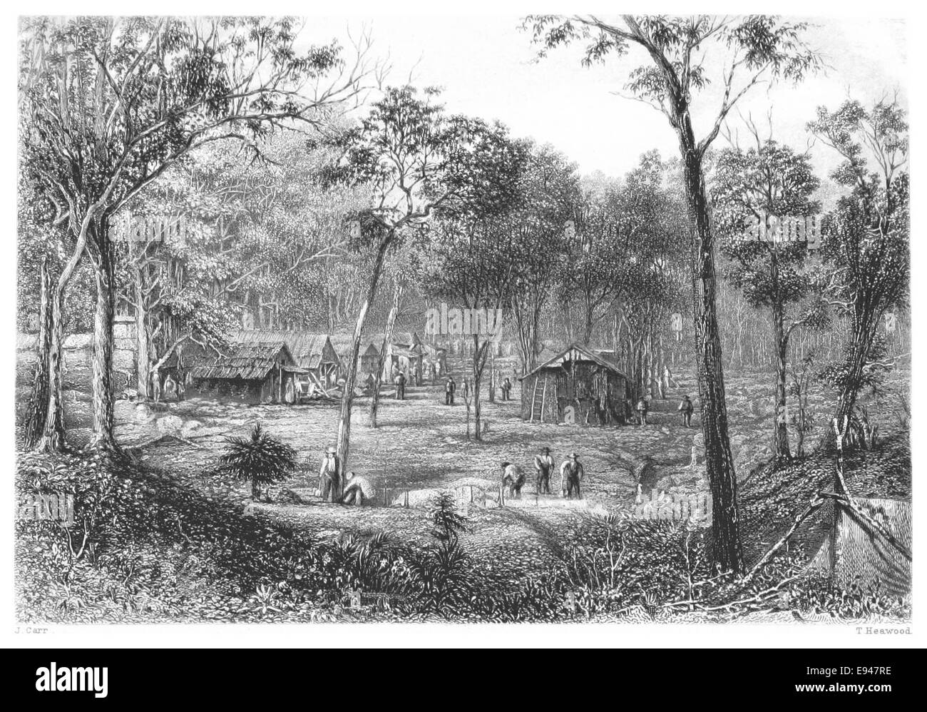 BOOTH(1873) 2.408 NEW ZEALAND GULLY NEAR ROCKHAMPTON, QUEENSLAND Stock ...