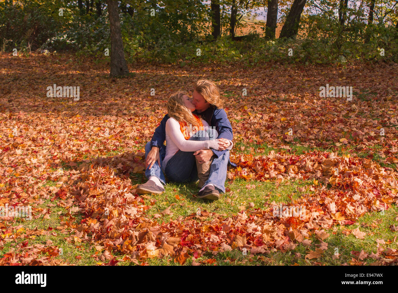 Maple young leaves hi-res stock photography and images - Alamy