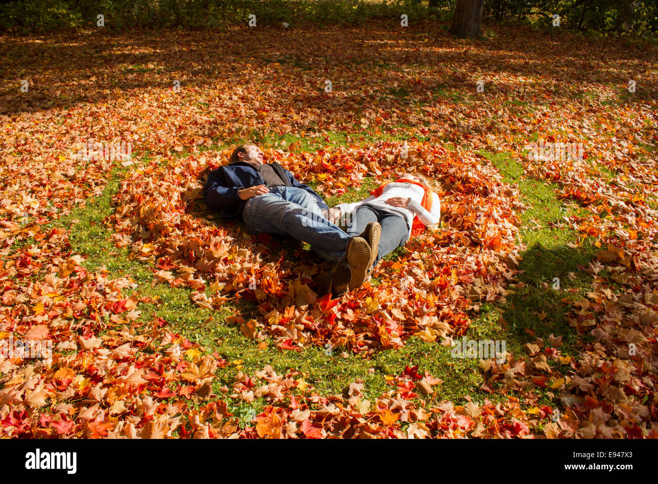 Young couple lying down in a heart shaped of fallen maple leaves Stock ...