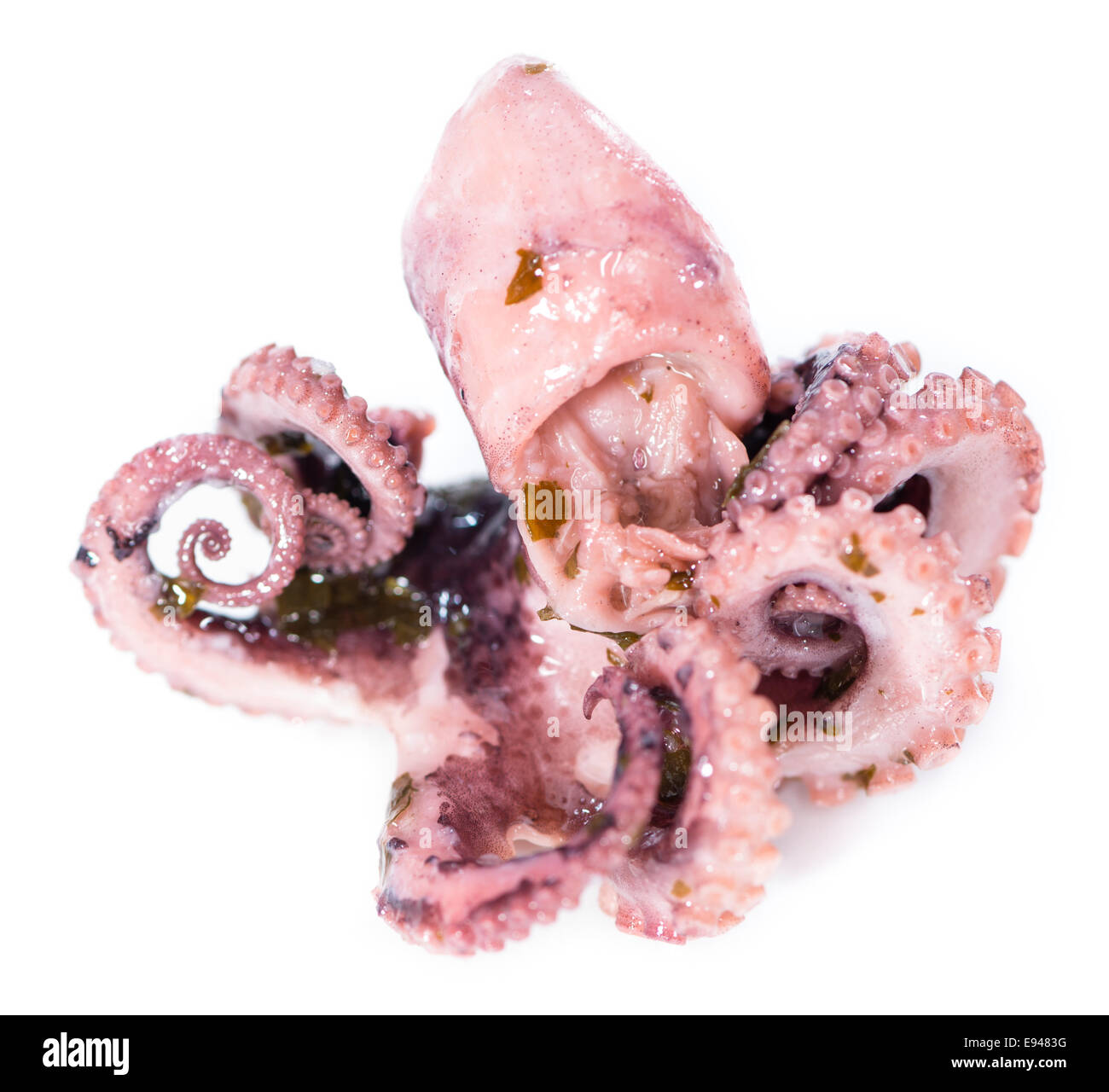 Small cooked Octopus (isolated on pure white background Stock Photo - Alamy