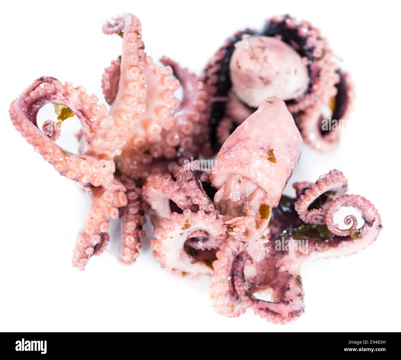 Small cooked Octopus (isolated on pure white background Stock Photo - Alamy