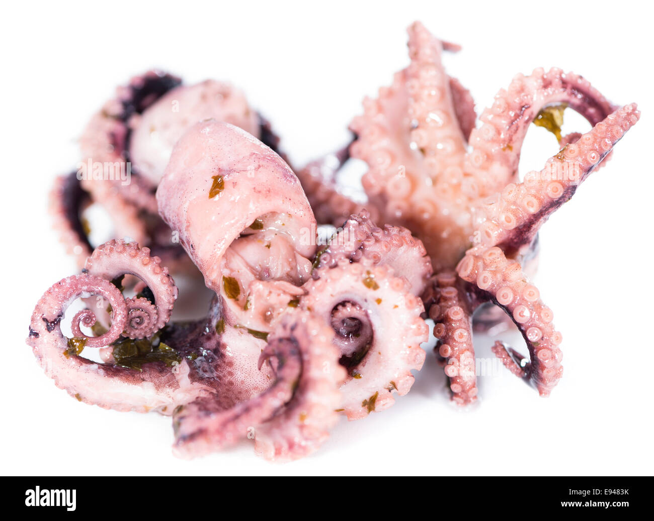 Small cooked Octopus (isolated on pure white background Stock Photo - Alamy