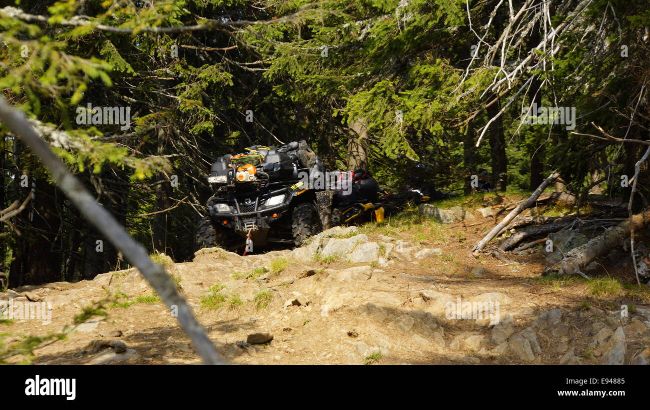 Quad forest hi-res stock photography and images - Alamy