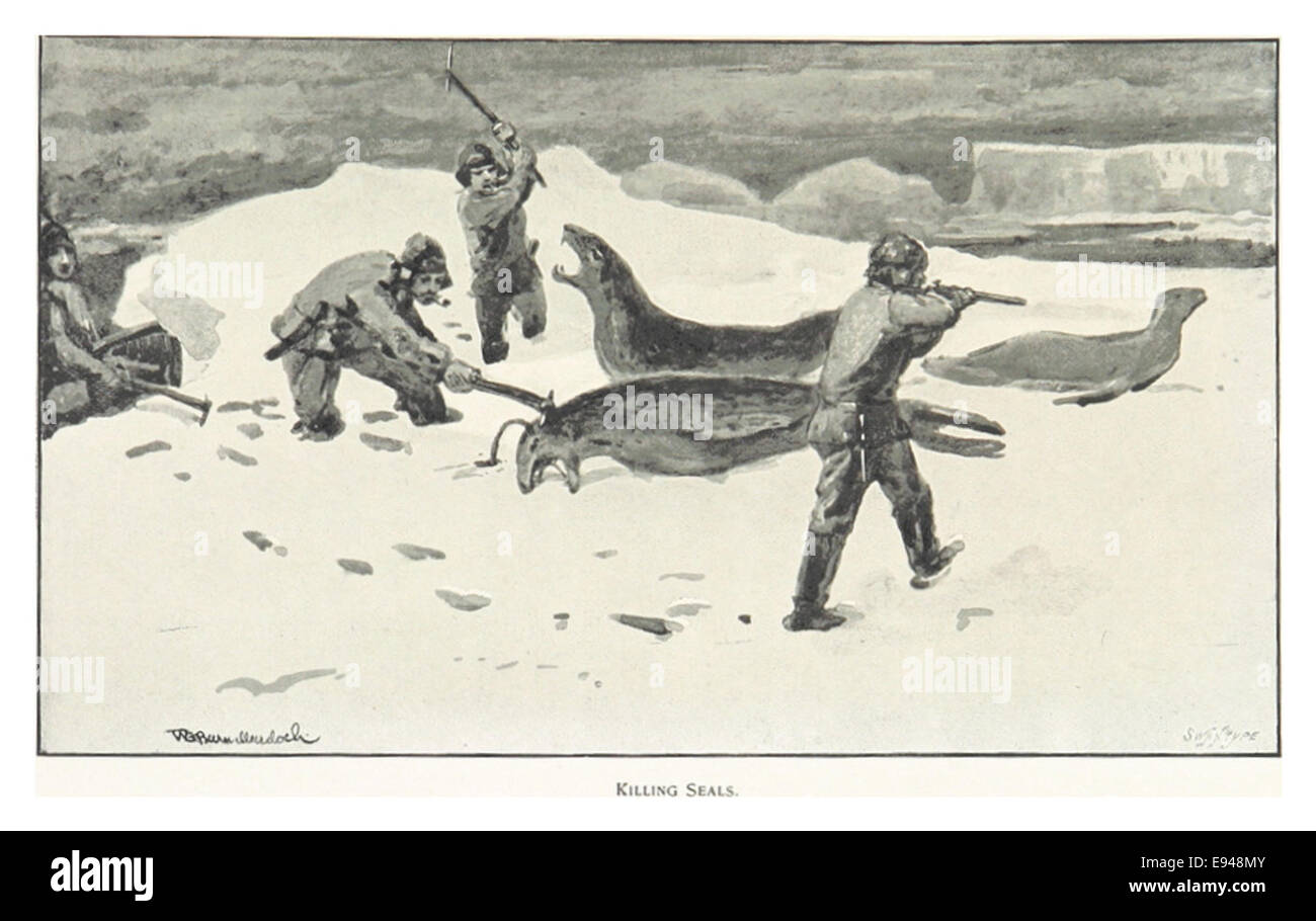 This 1896 illustration by Bull depicts the practice of seal hunting ...