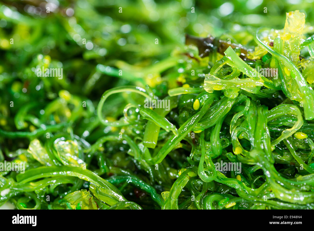 Kelp Salad (detailed close-up shot) for use as background image or as ...