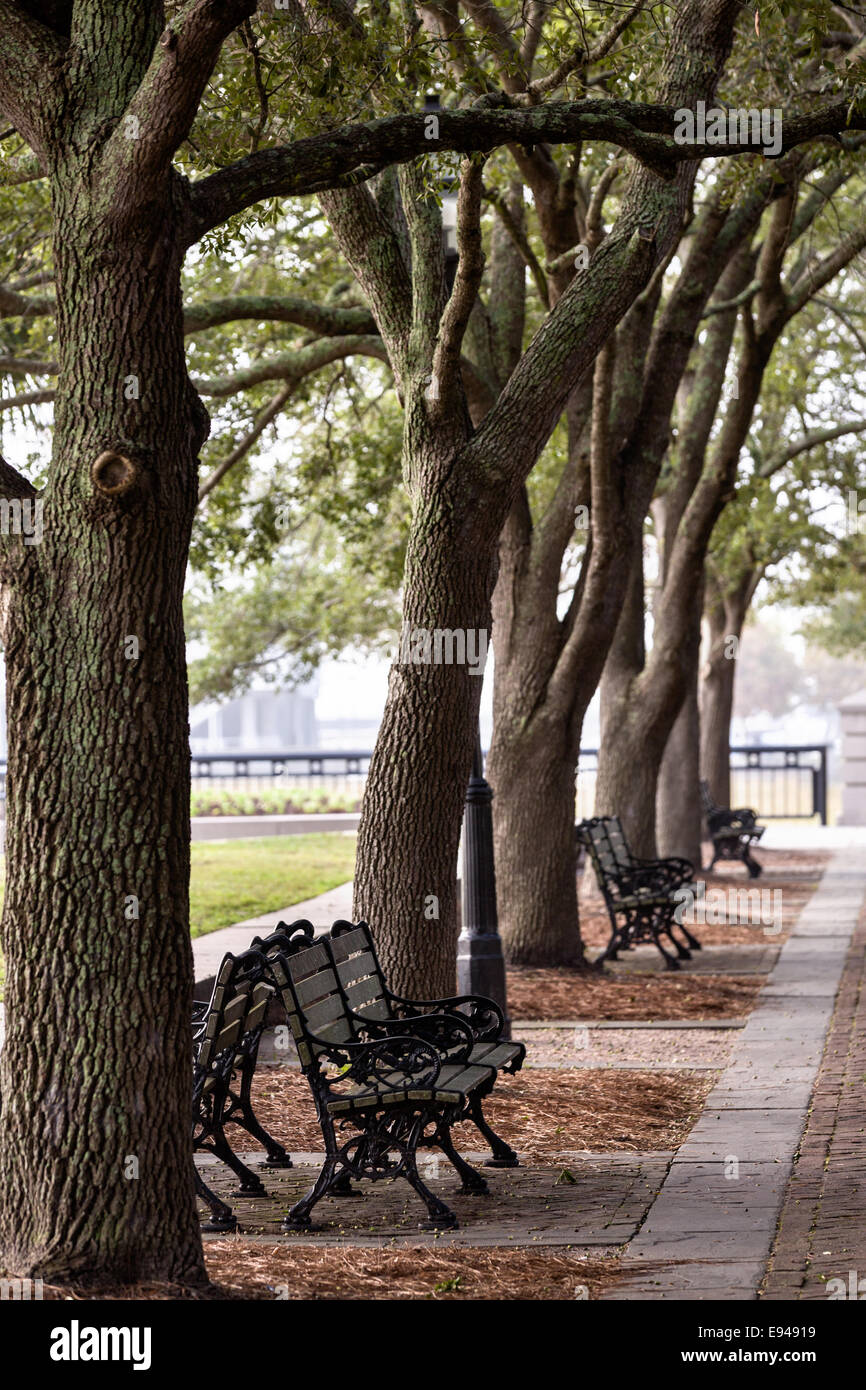 Benches along Waterfront Park on a foggy morning in historic Charleston ...