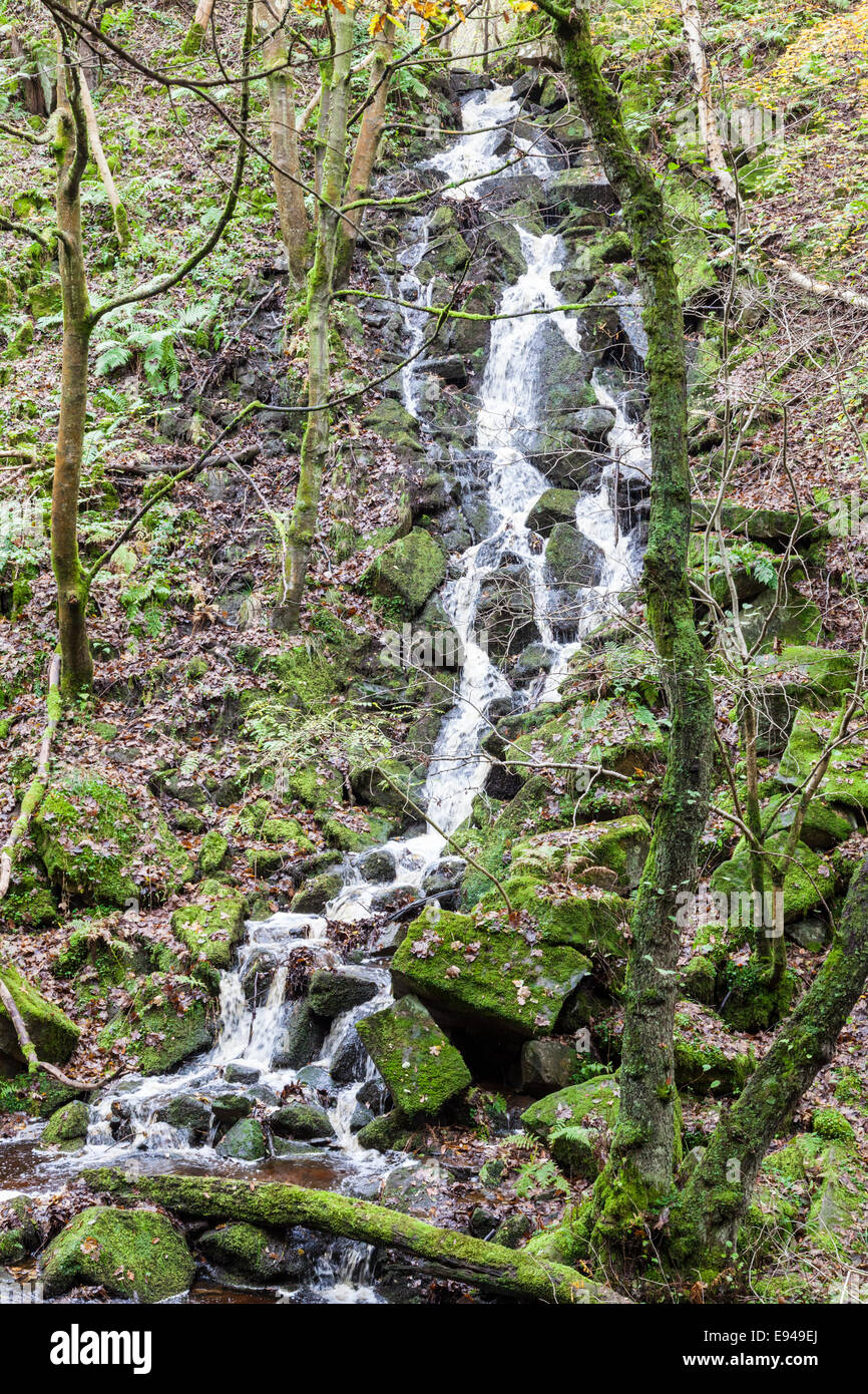 Stream hillside High Resolution Stock Photography and Images - Alamy