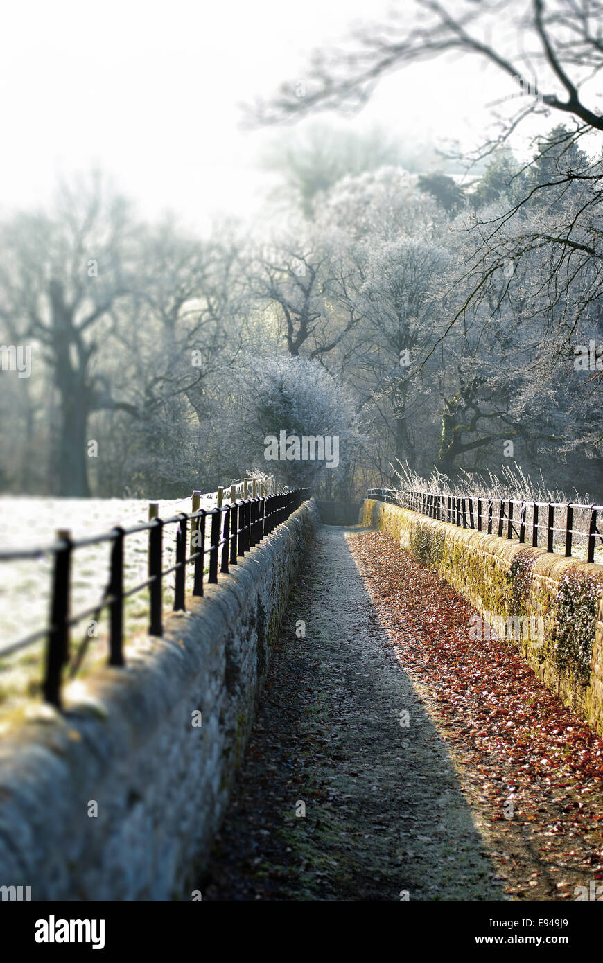 Country lane winter hi-res stock photography and images - Alamy