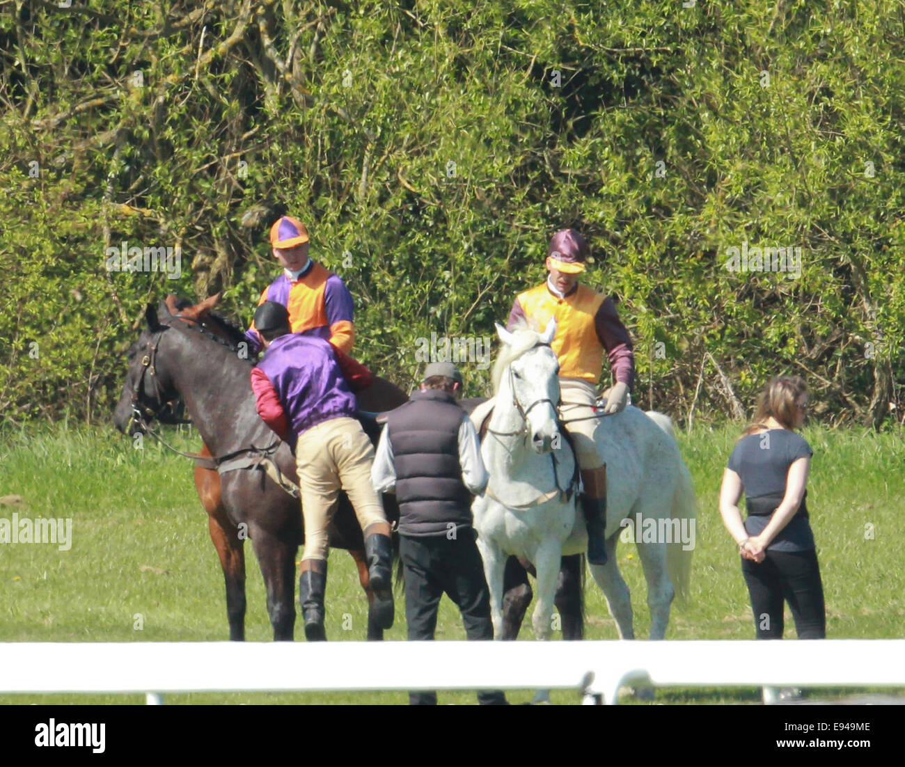 Anmer horse hi-res stock photography and images - Alamy