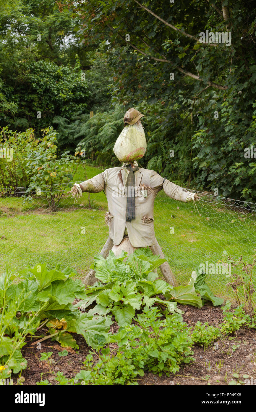 Scarecrow on vegetable patch, Ulster Folk Museum, Holywood, Northern ...