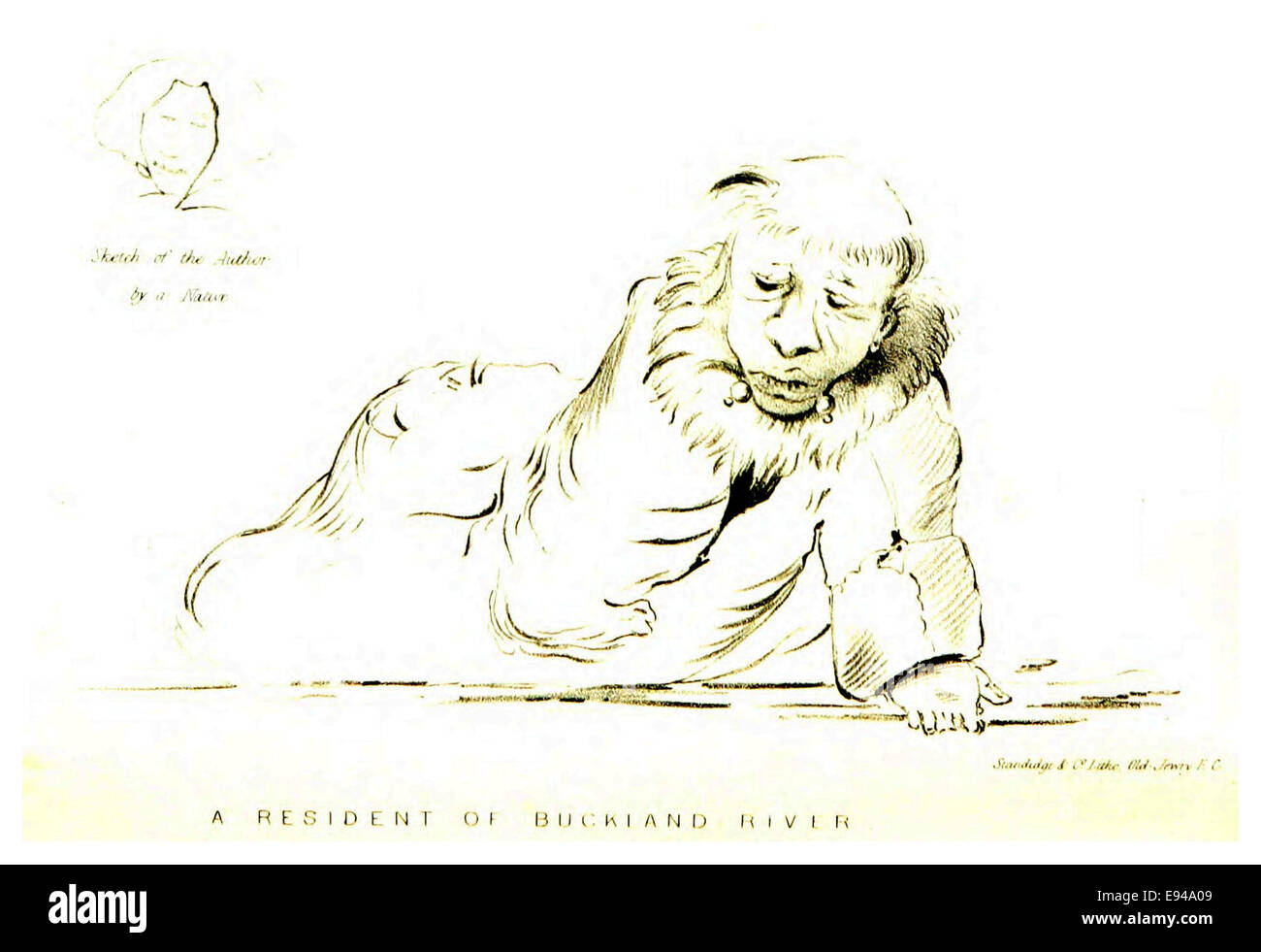 Life in river Cut Out Stock Images & Pictures - Alamy