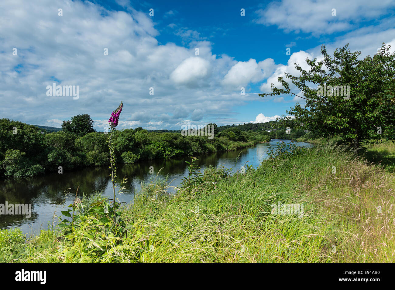 Cults hi-res stock photography and images - Alamy