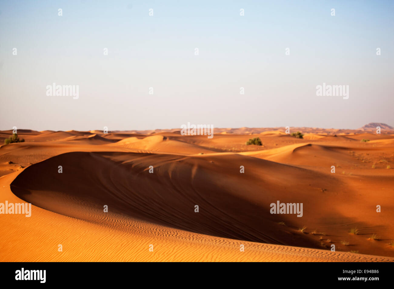 Desert - Dubai, United Arab Emirates Stock Photo - Alamy