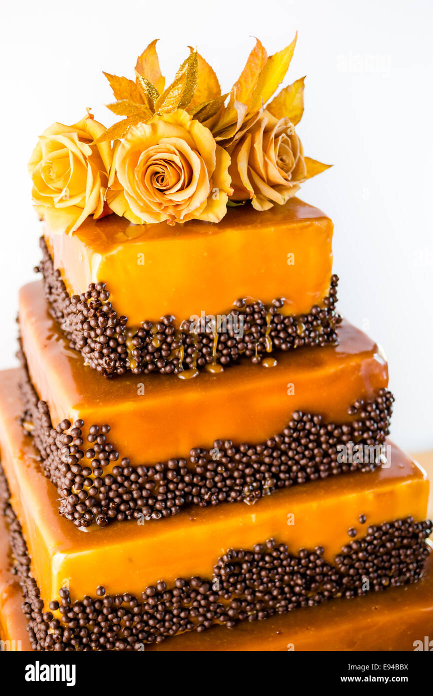 Gourmet tiered wedding cake as centerpiece at the wedding reception ...